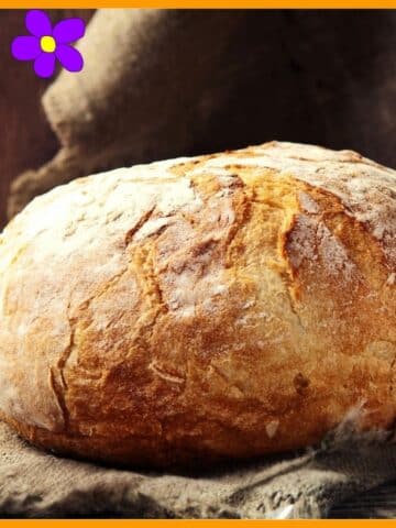 Crescente Bolognese - Il Ricettario di Bianca